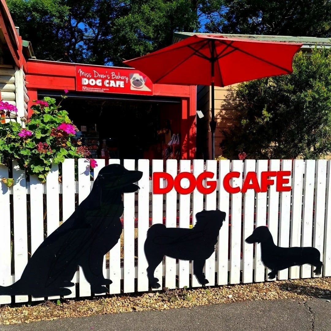 Dog Café in Melbourne | Miss Drew’s Bakery & Dog Café
